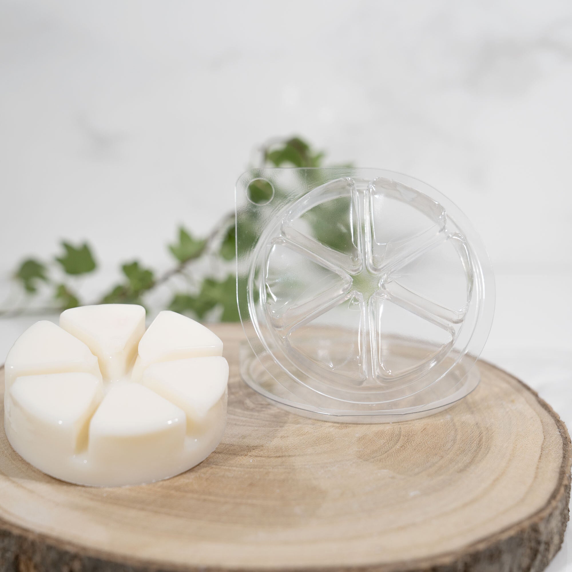 Quarter clamshell mold - DIY Fondants