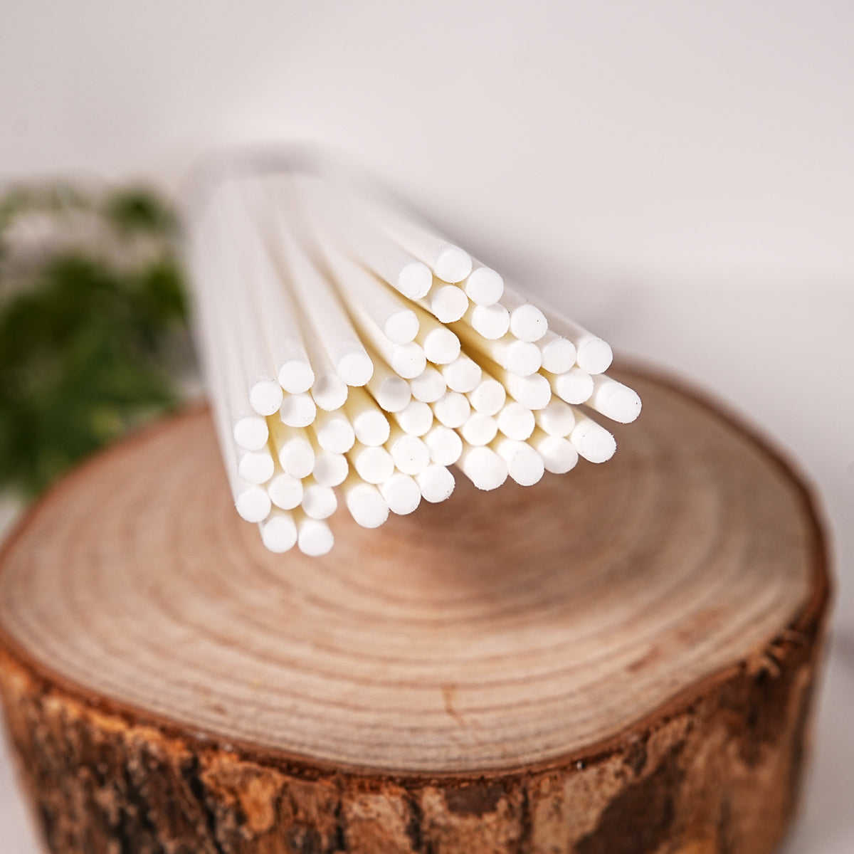 Fiber Sticks for 4mm Diffuser - Black/White – Terre de Bougies